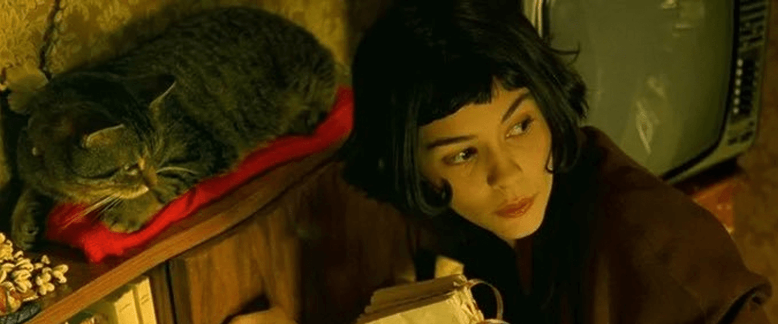 10 Film Recommendations / Most Iconic French Films - Türkiye News Portal